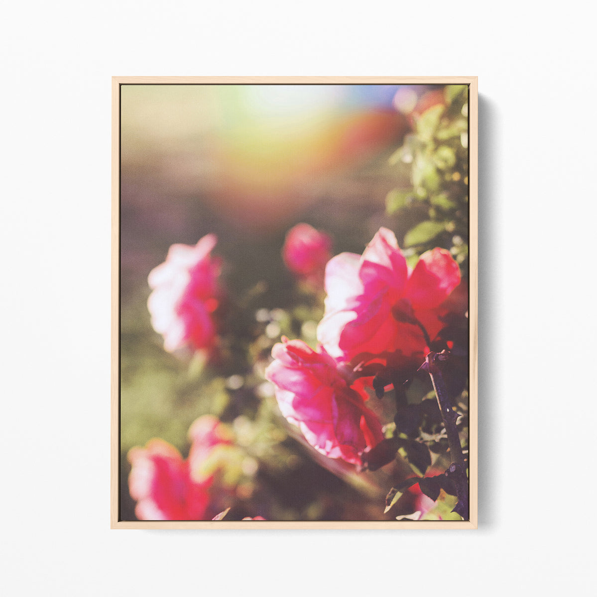 Astral Roses – Kara Suhey Print Shop